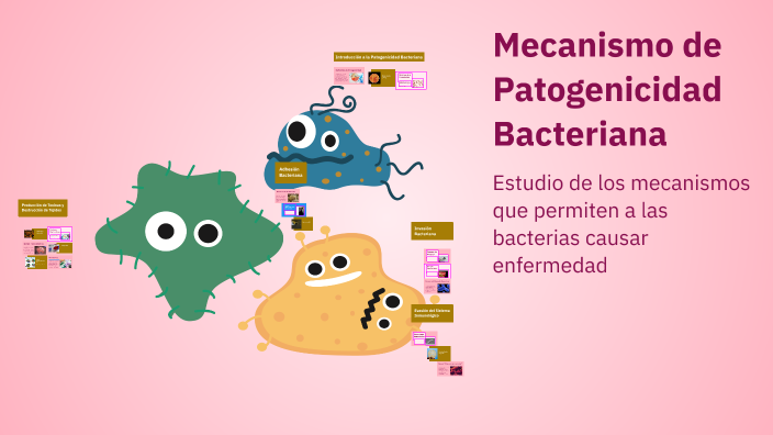 Mecanismo de Patogenicidad Bacteriana by Maju Lopez on Prezi