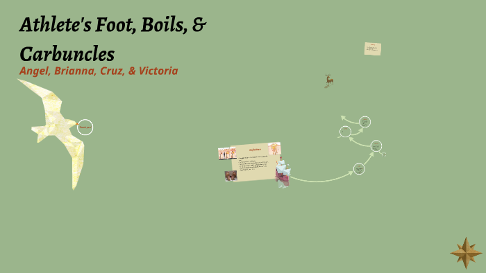 Athletes Foot, Boils, and Carbuncles by breanna casanova on Prezi