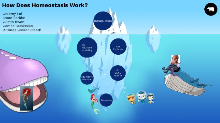 How Does Homeostasis Work In? by Isaac Barkho on Prezi