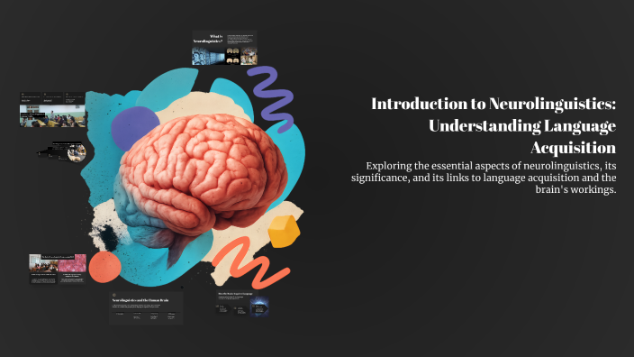 Introduction to Neurolinguistics: Understanding Language Acquisition by ...