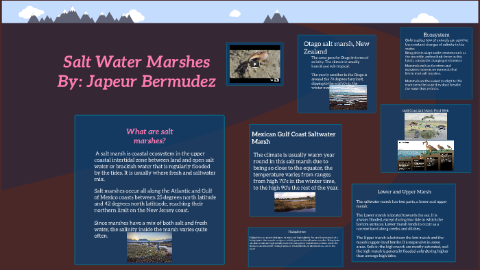 Salt Marsh Marine ecosystem project by JP by Japeur Bermudez on Prezi