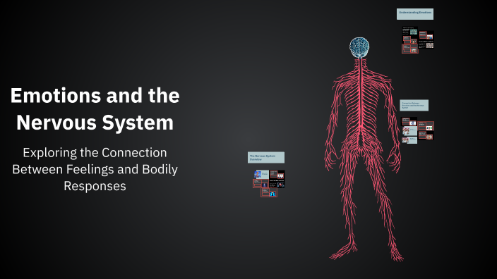 Emotions and the Nervous System by Mike Anthony on Prezi