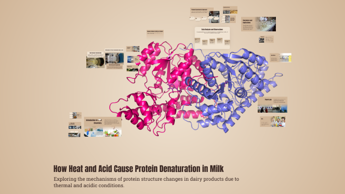 How Heat and Acid Cause Protein Denaturation in Milk by Nadia nabilah ...