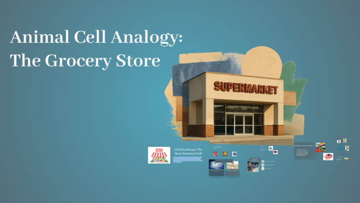 Cell Analogy: The Grocery Store by aminah shah on Prezi