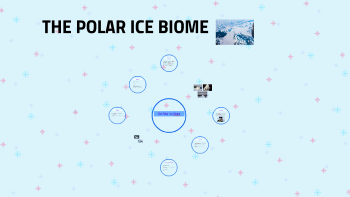The Polar Ice Biome by Abdurrahman Cheema on Prezi