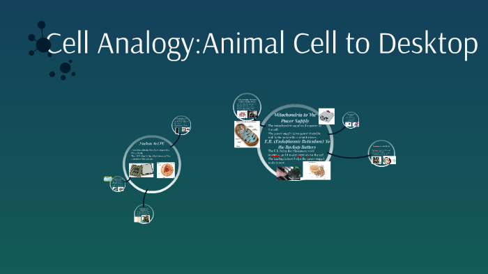 Cell Analogy:Animal Cell to Desktop by Mackenzie Glen on Prezi
