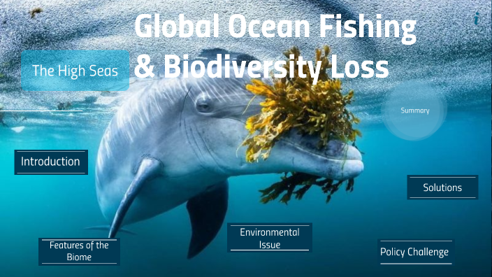 Global Ocean (The high seas) by Briana Lin on Prezi