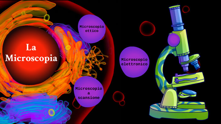 La microscopia by Alessia Perrone on Prezi