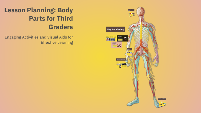 Lesson Planning: Body Parts for Third Graders by homework 2021 on Prezi