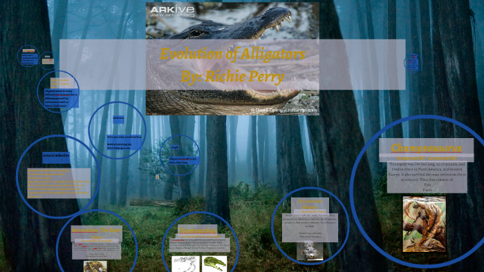 Evolution of Alligators by richie perry by richie perry on Prezi