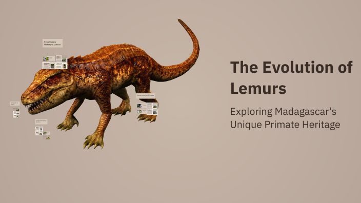 The Evolution of Lemurs by leen kassss on Prezi