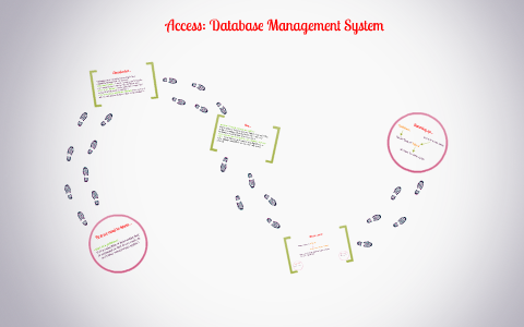 Access: Database Management System by Ana Livia Dominguez on Prezi