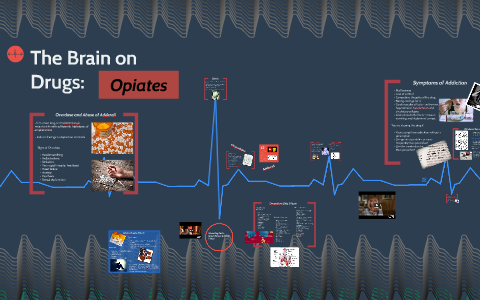The Brain on Drugs : Opiates by Angel Skinner on Prezi