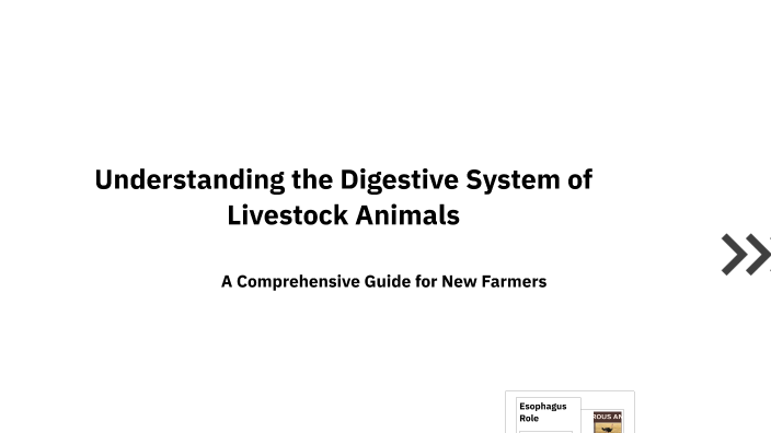 Understanding the Digestive System of Livestock Animals by Ethan ...
