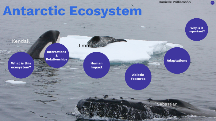 Marine Ecosystems Project by Daniella Williamson on Prezi