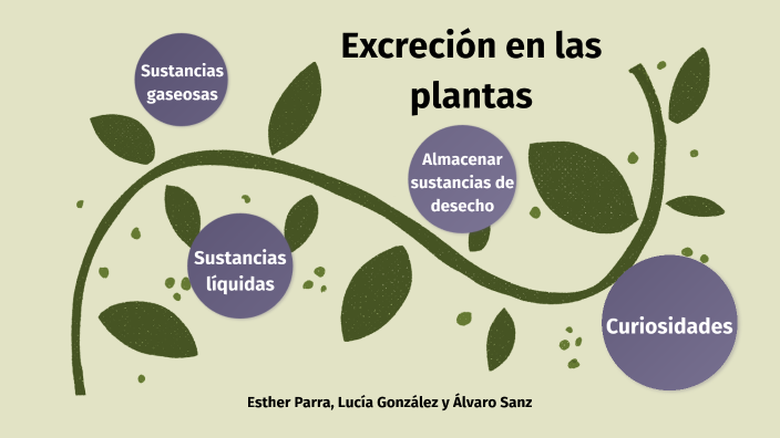 excreción de las plantas by Esther Parra on Prezi