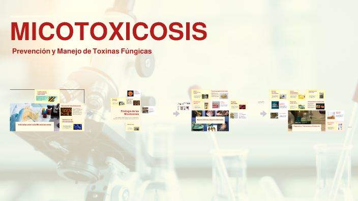 MICOTOXICOSIS EN GALLINAS by andrea navarrete saavedra on Prezi