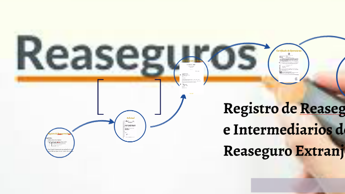 Registro de Reaseguradores e Intermediarios de Reaseguro Ext by Evelyn Carolina Farias Silva on ...