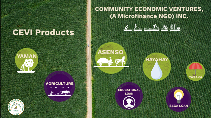 CEVI Products by ducs orlando on Prezi