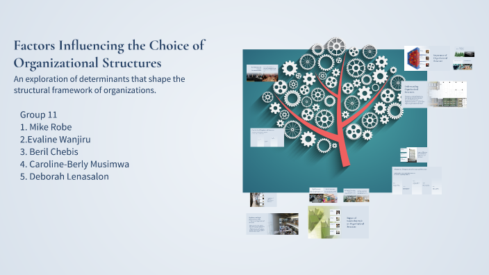 Factors Influencing the Choice of Organizational Structures by Deborah ...