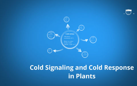 Cold Signaling and Cold Response in Plants by Edward Rojas on Prezi