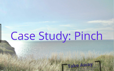 Case Study by Brandi Durst on Prezi