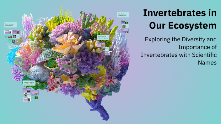 Invertebrates in Our Ecosystem by mark on Prezi
