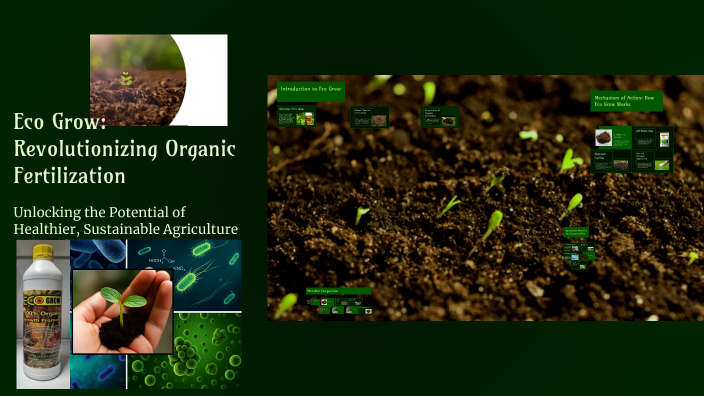 Eco Grow: Revolutionizing Organic Fertilization by МД Вкес on Prezi