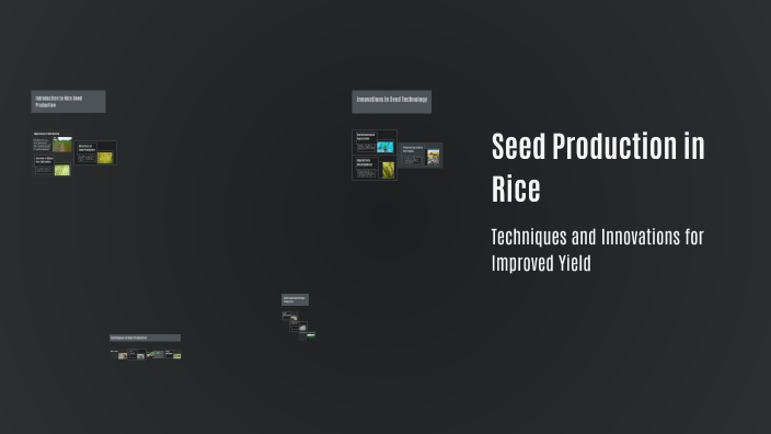 Seed Production in Rice by Kyaw Zaya on Prezi