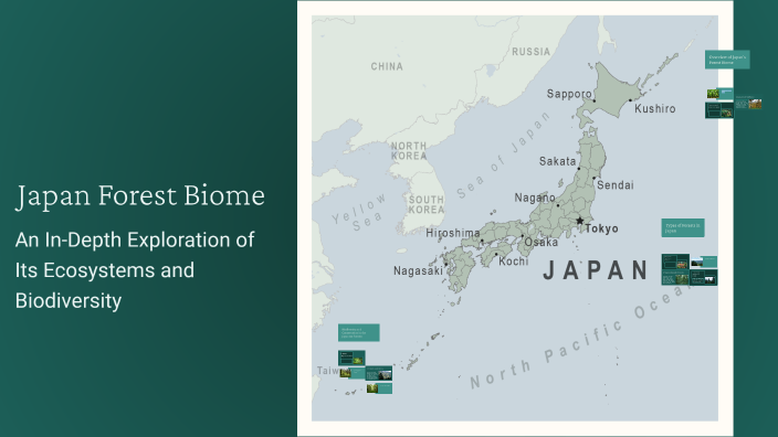 Japan Forest Biome by Gabriel Larson on Prezi