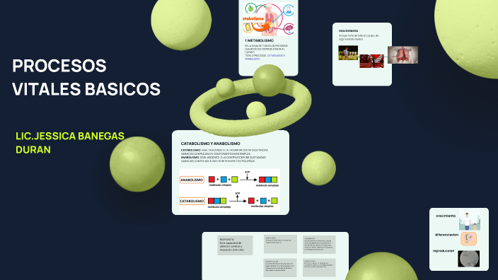 CARACTERISTICAS DEL ORGANISMO VIVO by JESSICA BANEGAS on Prezi