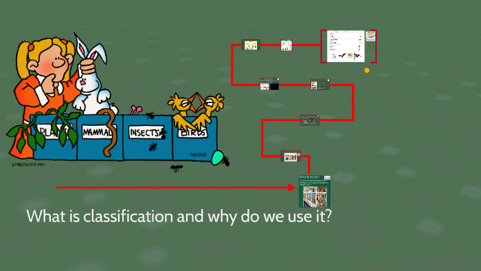 Classification and its benefits - 4th grade by Laleh Ghotbi