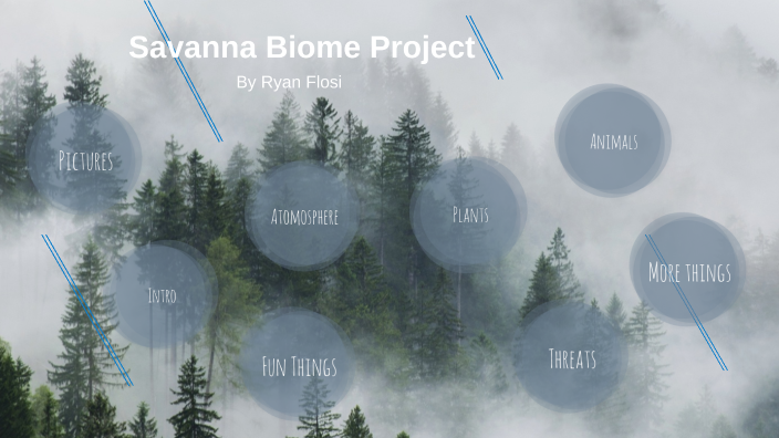 Savanna Biome Project by Ryan Flosi on Prezi