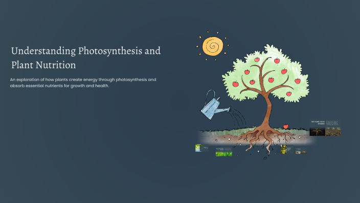 Understanding Photosynthesis and Plant Nutrition by Aruuke on Prezi