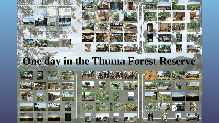 One day in the Thuma Forest Reserve by Lisa Kostrzewa on Prezi