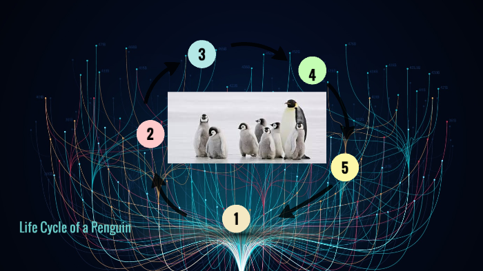 Isaac and Grace Penguin Lie cycle by Stephanie Harding on Prezi