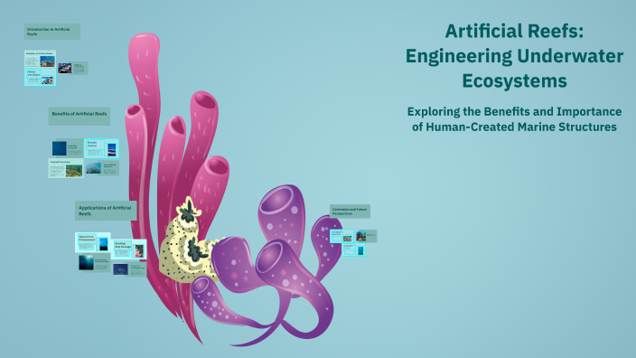 Artificial Reefs: Engineering Underwater Ecosystems by Eial Cukier on Prezi