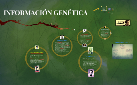 INFORMACIÓN GENETICA by cristian david cepeda pulido on Prezi
