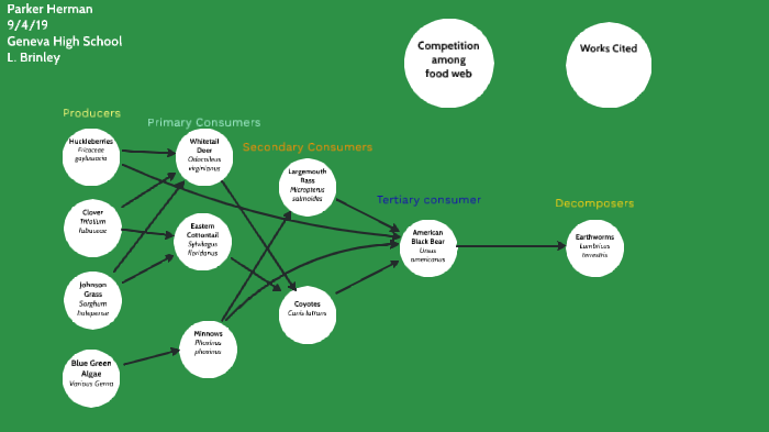 1.05 Alabama Food web Project by Parker Herman on Prezi