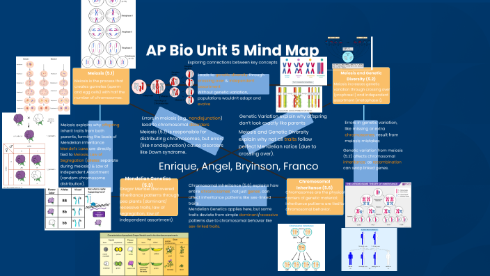 Unit 5 mind map AP Biology by Enrique Jimenez on Prezi