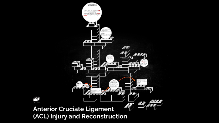 Anterior Cruciate Ligament and Knees by Clayton Neuner Neuner on Prezi
