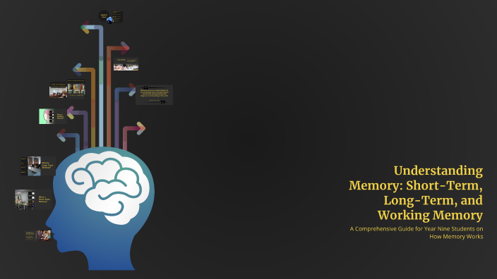 Understanding Memory: Short-Term, Long-Term, and Working Memory by Sam ...