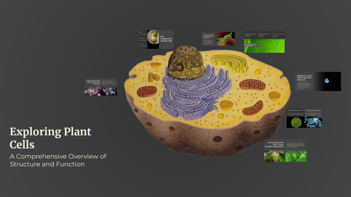 Exploring Plant Cells by Bero mohamed on Prezi