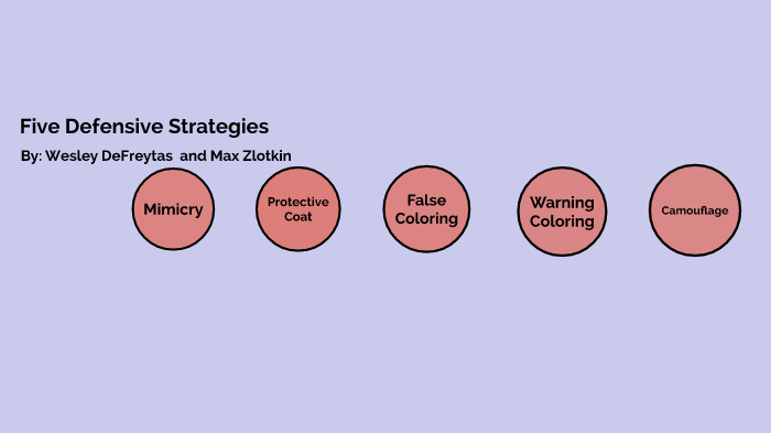 5 defense strategies by Wesley DeFreytas on Prezi