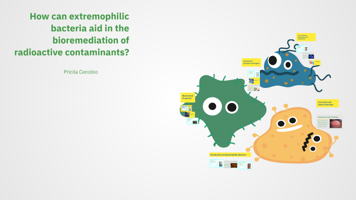 Extremophilic Bacteria in Bioremediation Processes of Radioactive ...