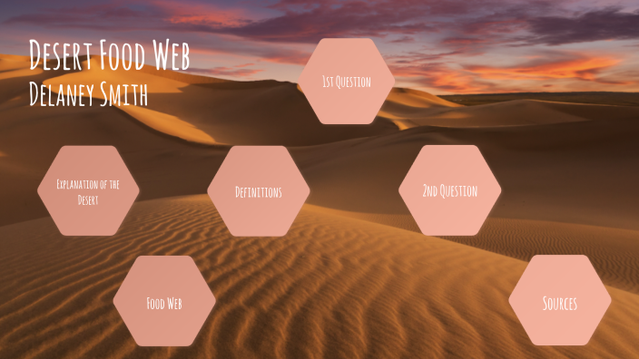 Desert Food Web by Delaney Smith on Prezi