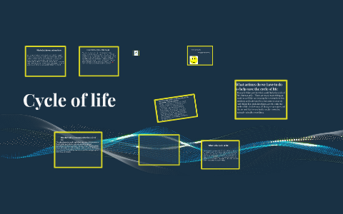 cycle of life by Boris Gurov on Prezi