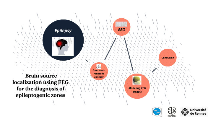 Eeg Source Localization By Carla Joud On Prezi