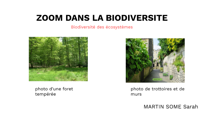 Sarah ZOOM dans la Biodiversité by Prezzi Hug on Prezi