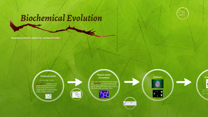 Biochemical Evolution by Sara González Matheu on Prezi